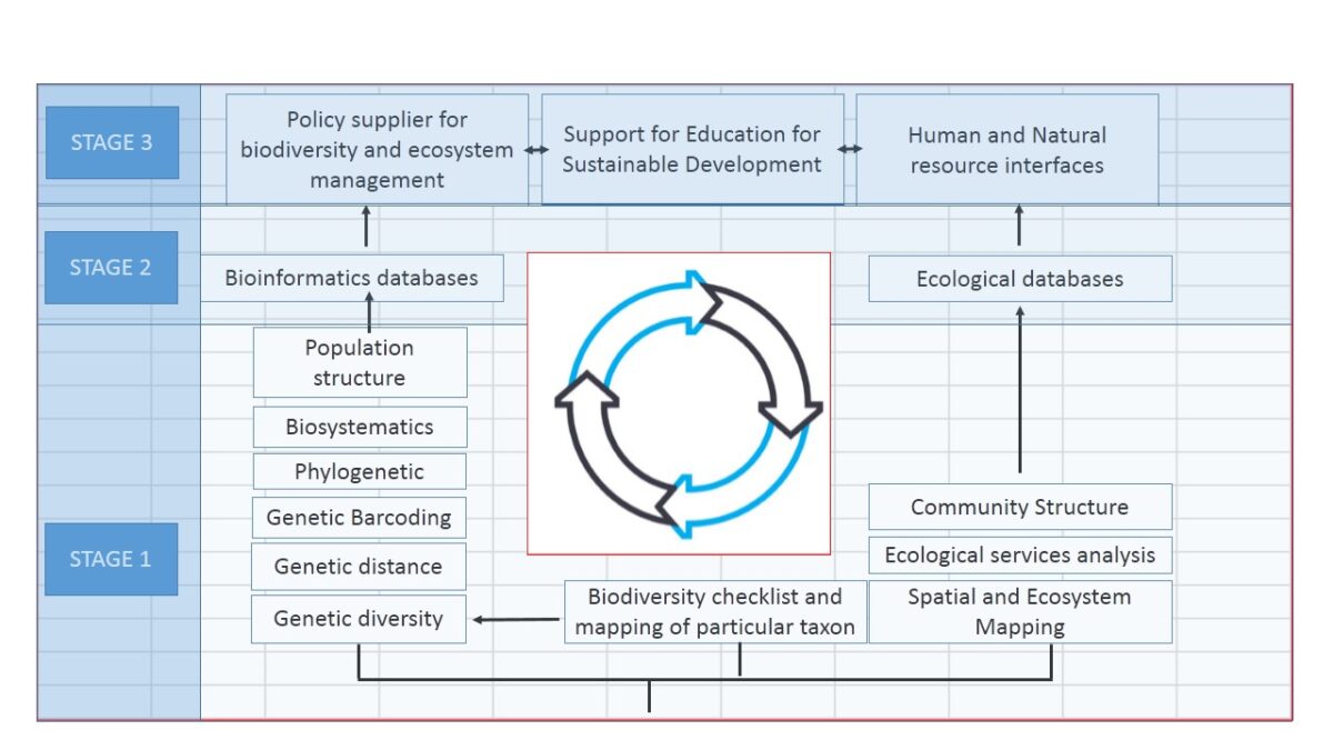 Biosystematics and Ecological System Studies – Biology Education ...
